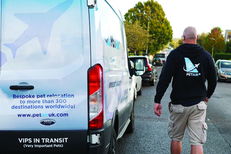 Pet Transport Travel for Overseas Relocation – Britannia Movers